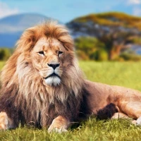 KZN's Trans-Am WS6 1.0 - BeamNG.drive