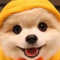 [FREE] 2012 Gumpert Apollo 1.0 - BeamNG.drive