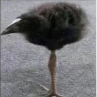 WEST COAST USA REWORK 1.0 - BeamNG.drive