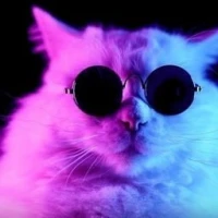 dyno hub 1.2 - BeamNG.drive