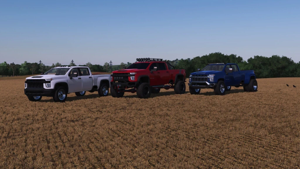 Lizard Silverado 3500 v 2.0 - FS 22