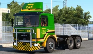 MAN 19.361 v1.1 - ETS 2