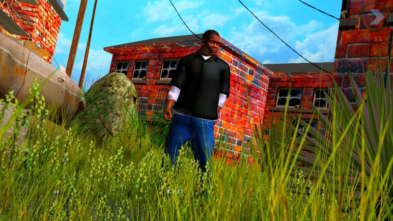 Colorcycle High Saturation Final - GTA: SA