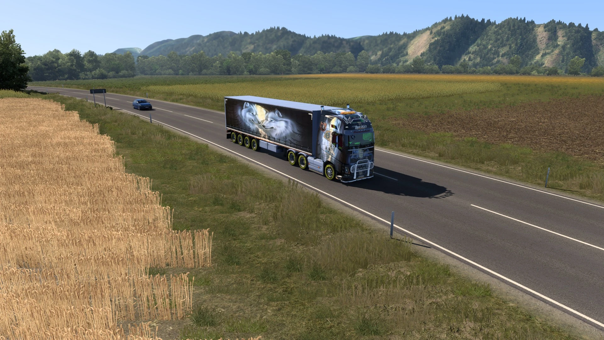 Skins wolf 1.0 - ETS 2