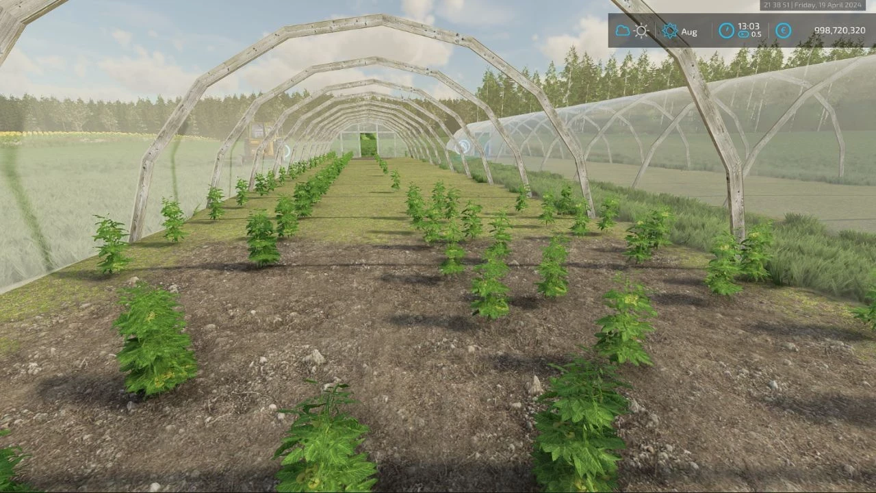 MSC Greenhouse BETA - FS 22