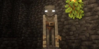 Enderman Overhaul mod 1 - Minecraft