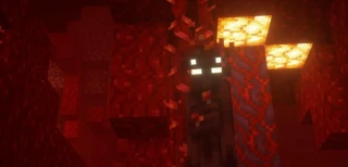 Enderman Overhaul mod 1 - Minecraft