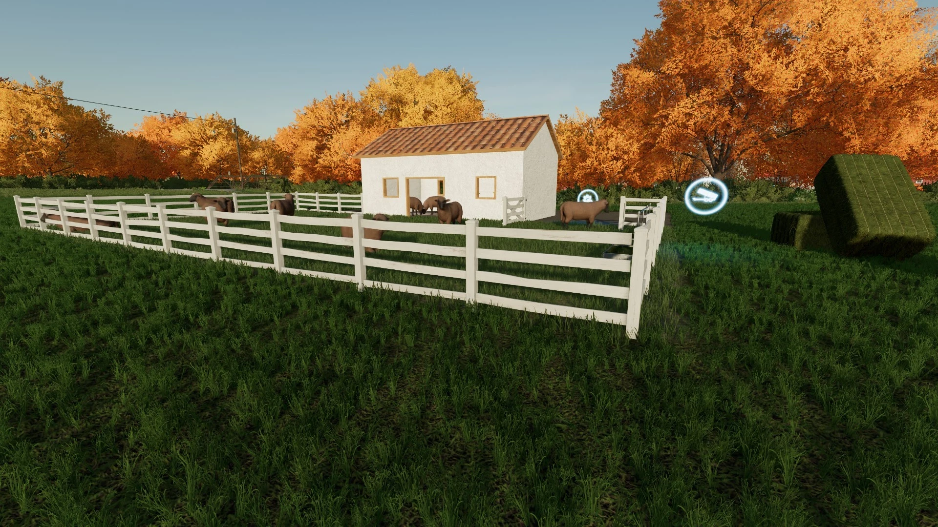 Small Sheep Pasture v 1.0 - FS 22
