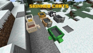 Skinned Carts [Minecraft 1.12.-1.20.6] v5.0.0 - Minecraft