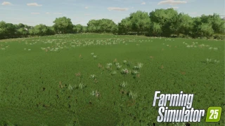 How to Increase Yield in Farming Simulator 25 - FS25