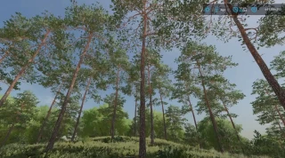 How to Plant Trees in FS25 - FS25
