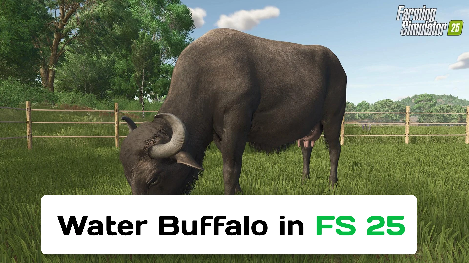 Water Buffaloes in FS 25: New Details - FS25