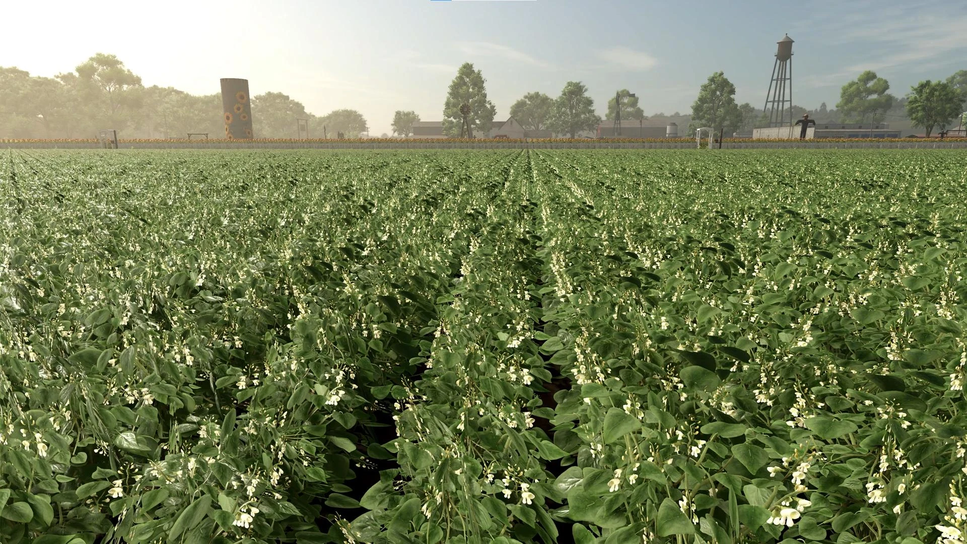 Green Beans in Farming Simulator 25: A New Crop - FS25