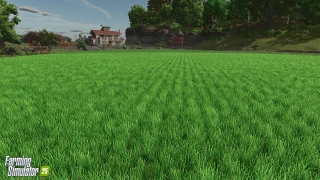 Rice in FS25: New Details - FS25
