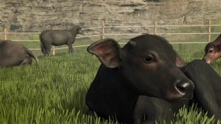 Hutan Pantai map for FS 25: Full Immersion In East Asia - FS25