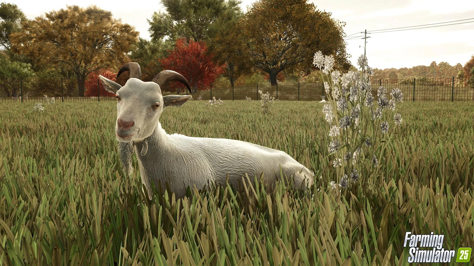 Goats in FS25: What to Expect from the New Animals - FS25