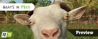 Goats in FS25: What to Expect from the New Animals - FS25