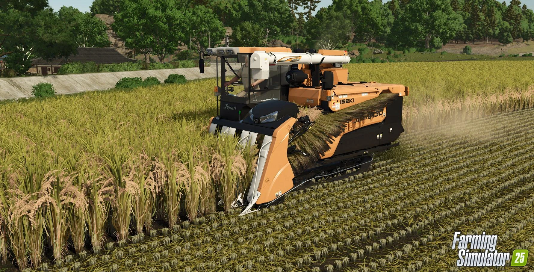 How to Plant and Harvest Rice in FS25 - FS25