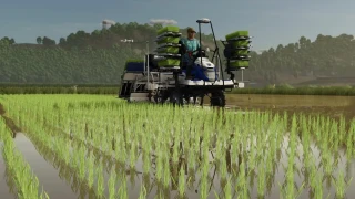 How to Plant and Harvest Rice in FS25 - FS25