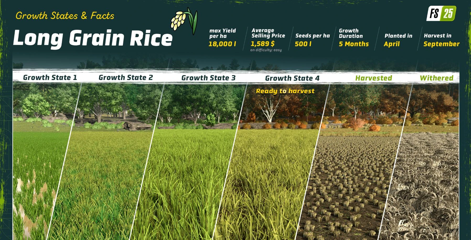 How to Plant and Harvest Rice in FS25 - FS25