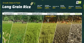 How to Plant and Harvest Rice in FS25 - FS25