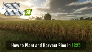 How to Plant and Harvest Rice in FS25 - FS25