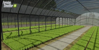 How to Plant and Harvest Rice in FS25 - FS25