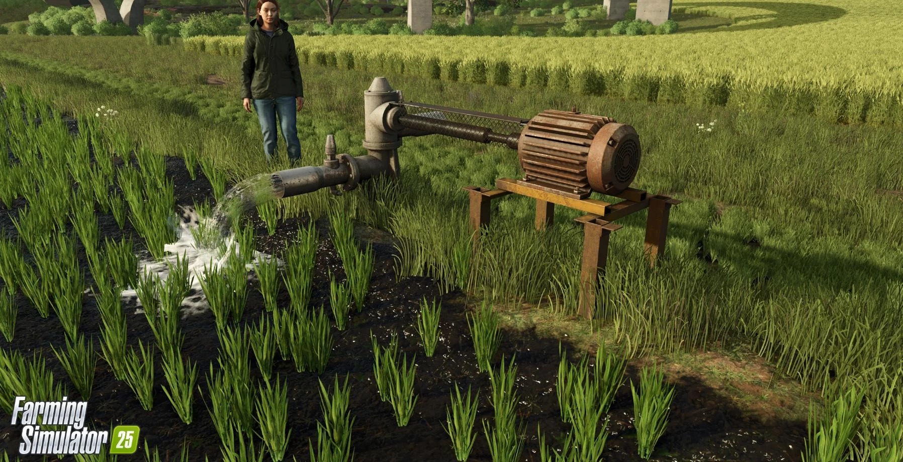 How to Plant and Harvest Rice in FS25 - FS25