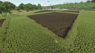 How to Plant and Harvest Rice in FS25 - FS25