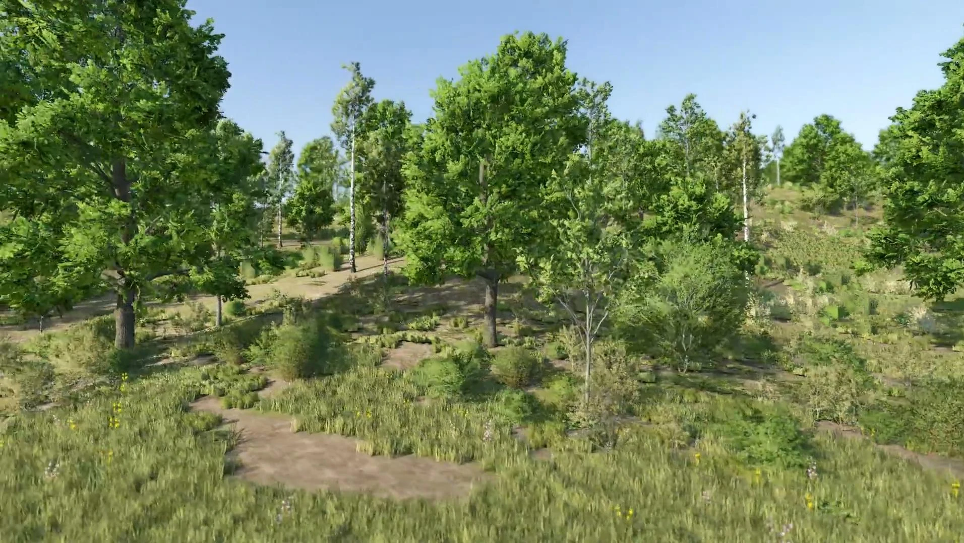 Zielonka Map Returns to FS25 - FS25