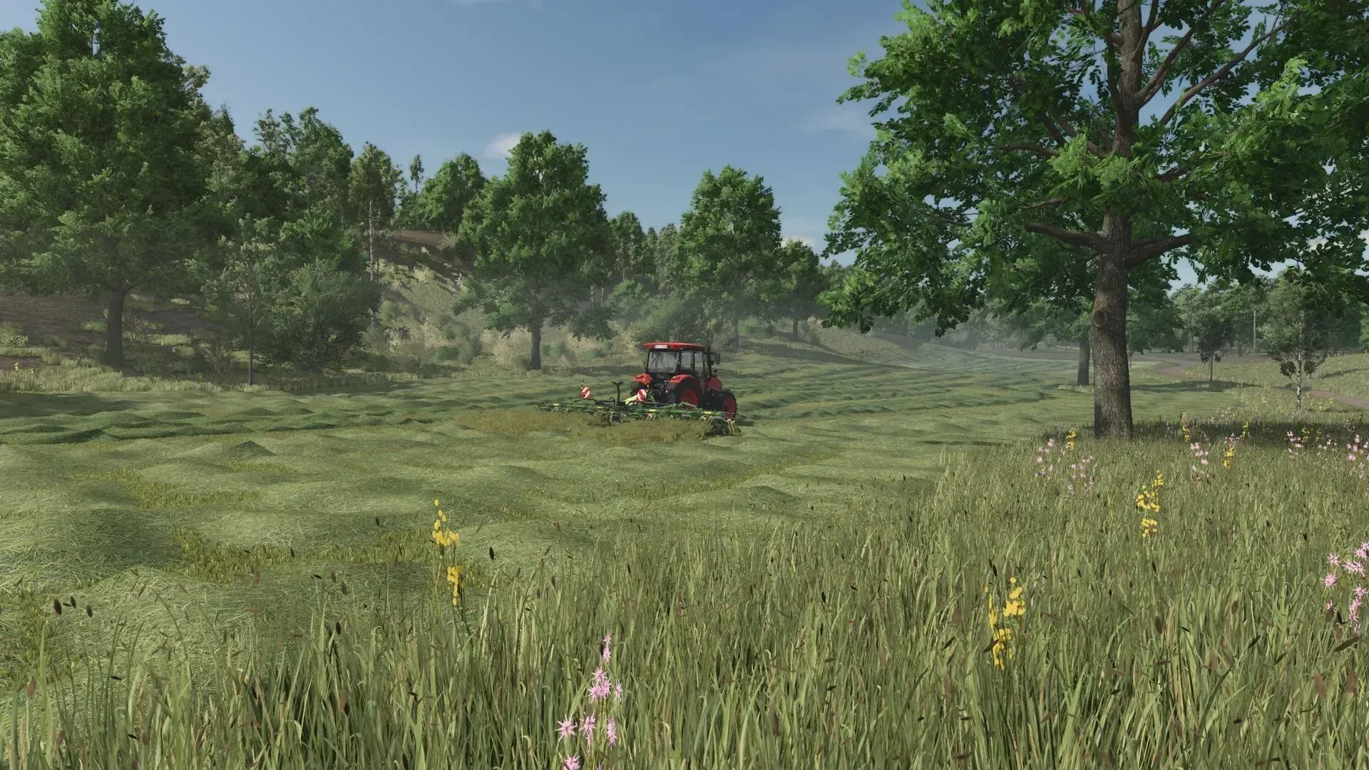 Grass Texture v 1.0.2.0 - FS25