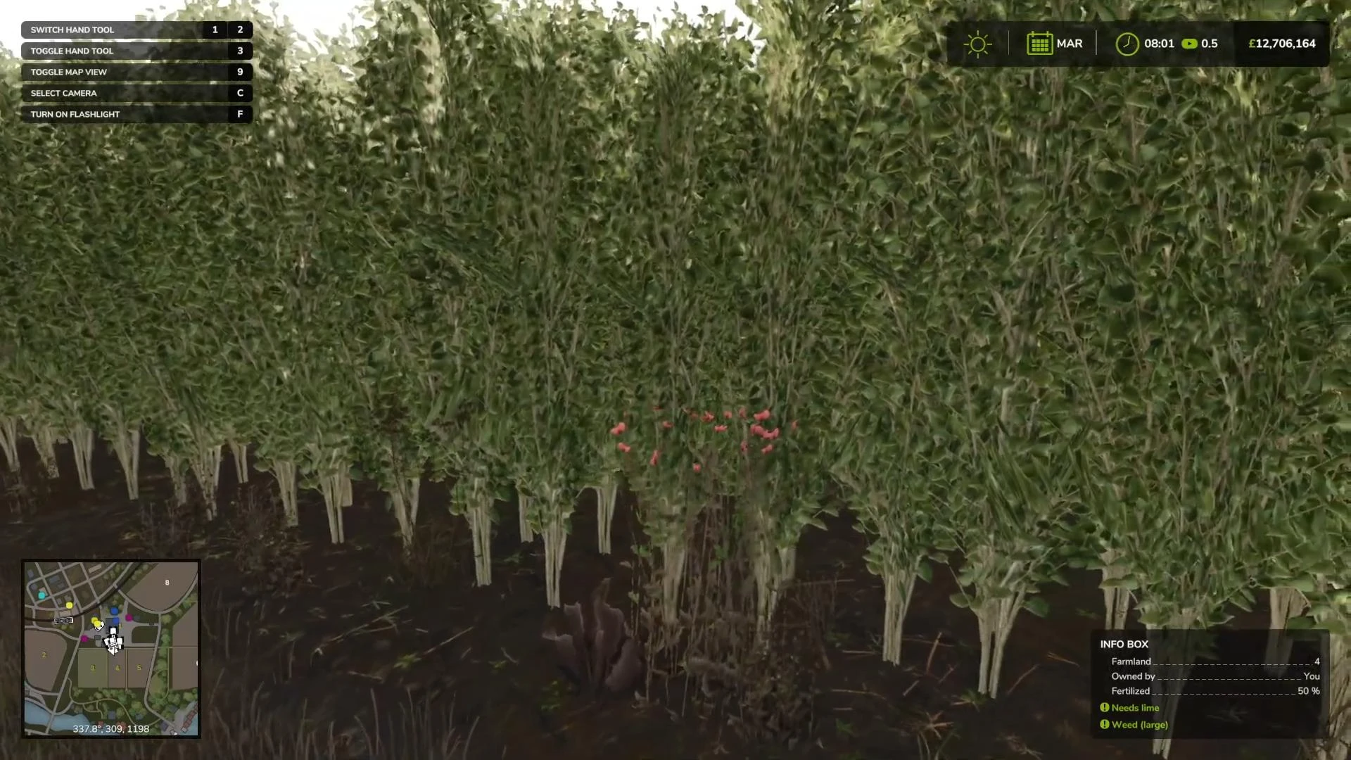Guide to Poplar in FS25: How to Plant, Grow and Harvest the Crop - FS25