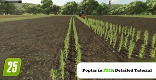 Guide to Poplar in FS25: How to Plant, Grow and Harvest the Crop - FS25